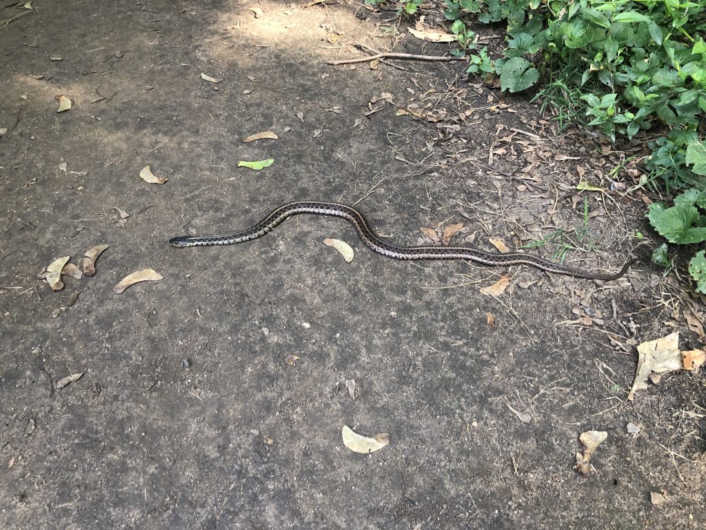 Tuesday in Eden | michael clapper